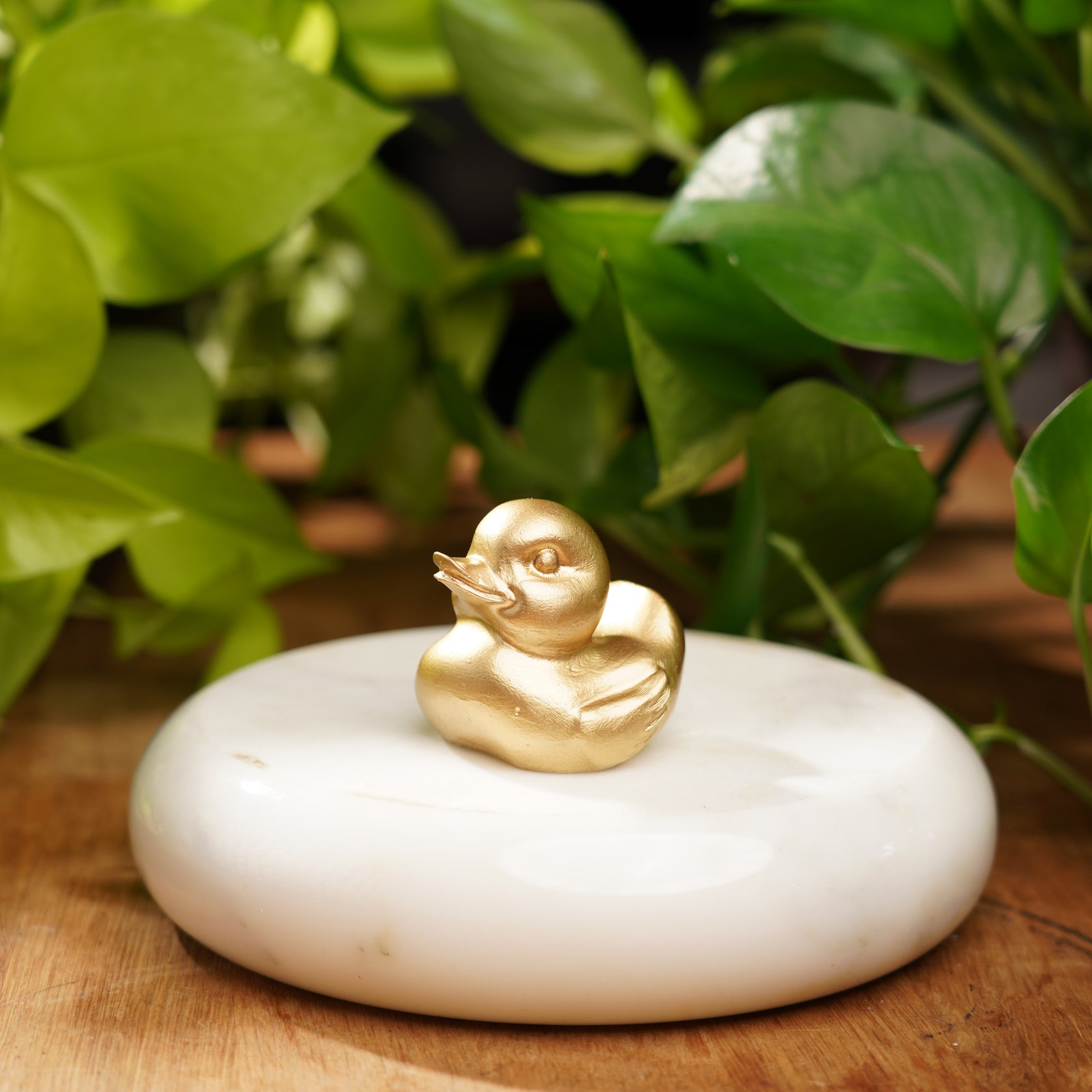 Gold Lucky Duck – Just A Little Luck