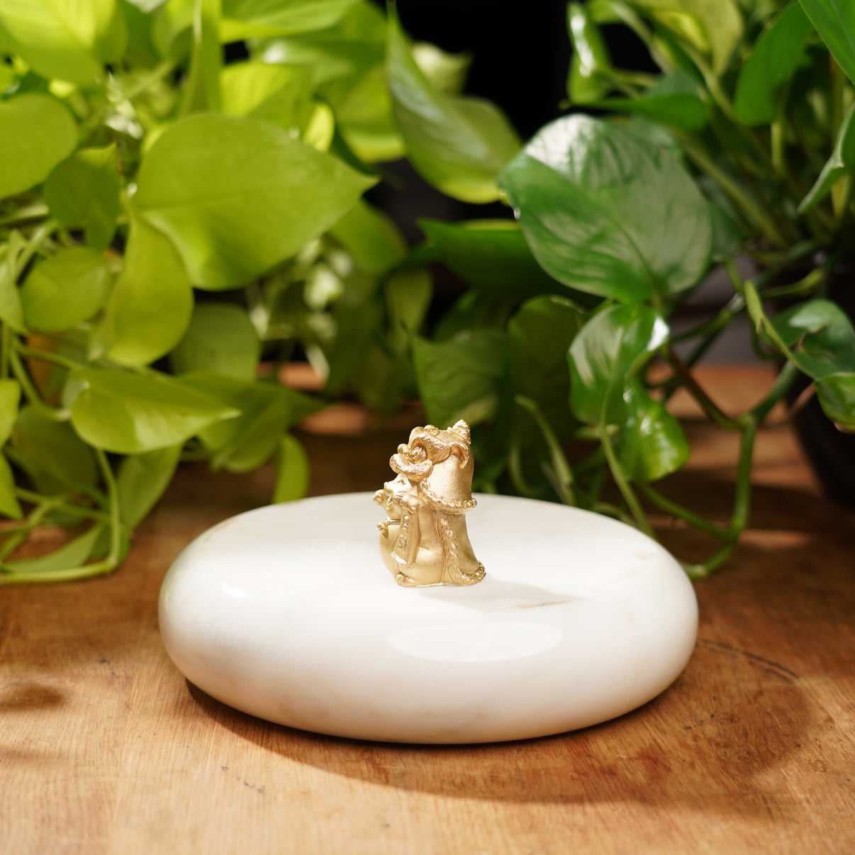 Lion Dance Lucky Maneki Neko – Just A Little Luck