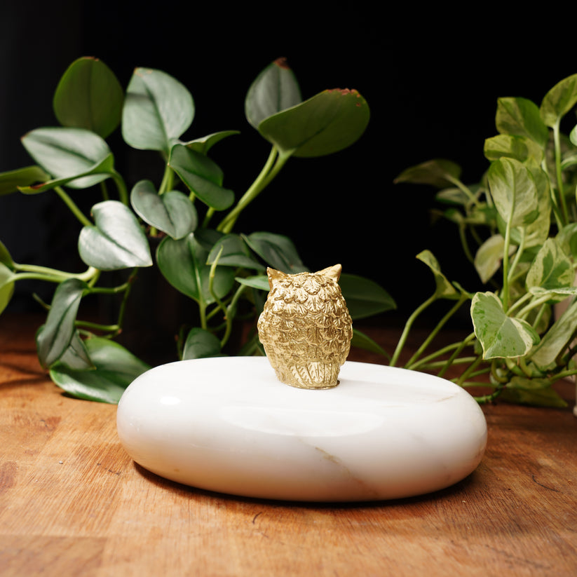 Gold Concrete Lucky Owl – Just A Little Luck