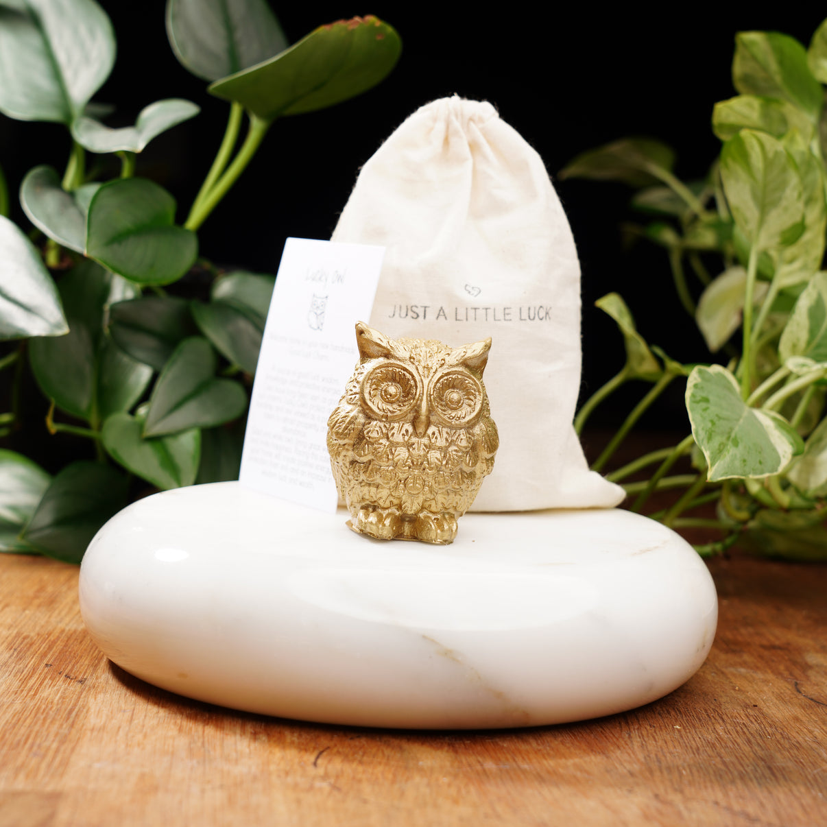 Gold Concrete Lucky Owl – Just A Little Luck